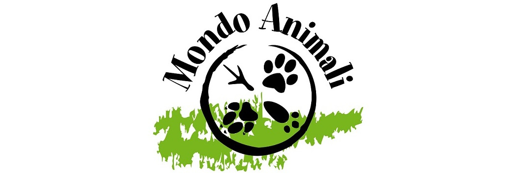 Associazione Mondo animali di Ferrara | A Quattro Zampe